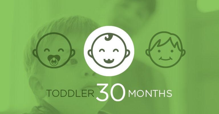Your Child at 30 Months - First Things First